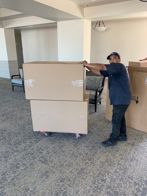 GRACE MOVING - Updated July 2025 - 61 Photos & 228 Reviews - 800 ...