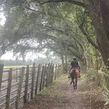 DIAMOND D RANCH - Updated December 2025 - 64 Photos & 22 Reviews - 5903 ...