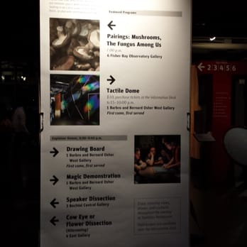 EXPLORATORIUM AFTER DARK - Updated December 2025 - 391 Photos & 206 Reviews - Pier 15, San ...