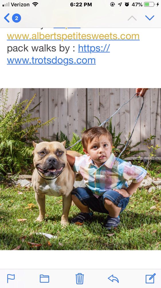 LERI HANSON DOG TRAINING - Updated July 2025 - Long Beach, California ...