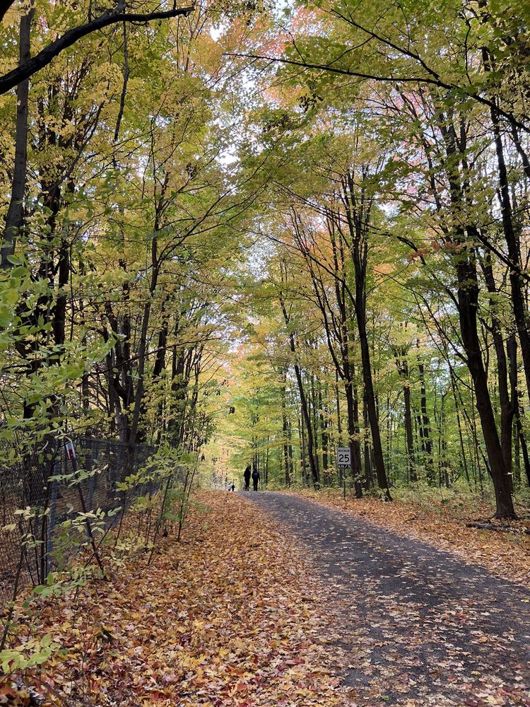 RATTLESNAKE POINT - Updated December 2025 - 84 Photos & 20 Reviews ...