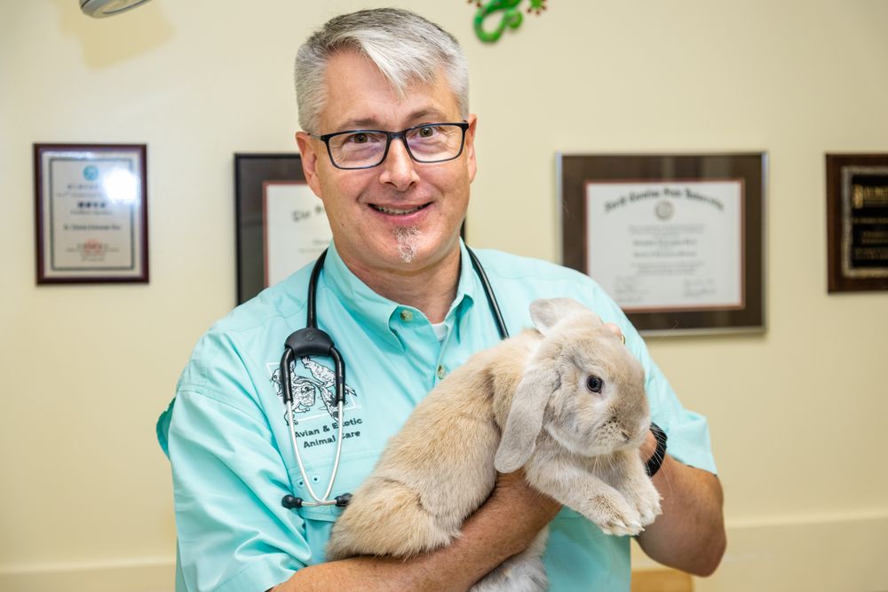 AVIAN AND EXOTIC ANIMAL CARE - 93 Photos & 51 Reviews - Veterinarians ...