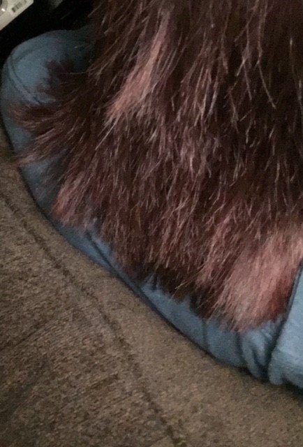 HOT LOCKS STUDIO - Updated December 2025 - 5200 Lapalco Blvd, Marrero ...