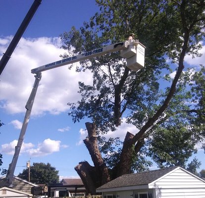 WARWICK TREE SERVICE - Updated October 2025 - 25 Photos & 63 Reviews ...