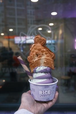 RICE CULTURE - Updated April 2025 - 521 Photos & 183 Reviews - 2672D ...