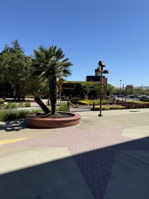 UNION LANDING SHOPPING CENTER - Updated December 2025 - 48 Photos & 69 ...