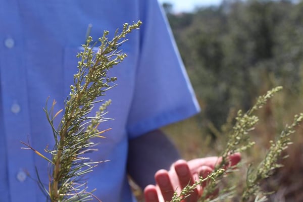 COASTAL ALLERGY CARE - Updated January 2026 - 1687 Erringer Rd, Simi ...