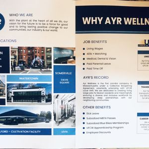 NEW DIA CANNABIS - Updated May 2025 - 21 Photos - 71 Lansdowne St ...