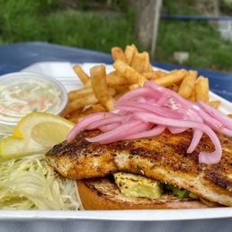 CHATHAM PIER FISH MARKET - 367 Photos & 282 Reviews - 45 Barcliff Ave ...