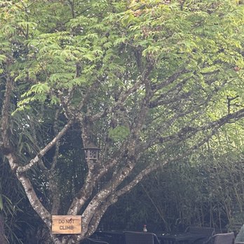 ZENBU LOUNGE - Updated December 2024 - 122 Photos & 115 Reviews - 8609 ...