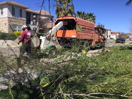 HARDIN’S TREE SERVICE - Updated October 2025 - 29 Photos & 67 Reviews ...