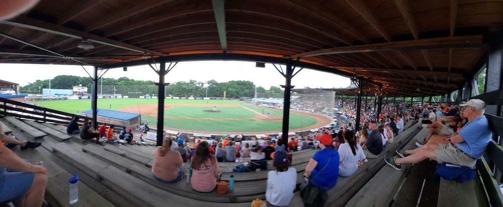 PENINSULA PILOTS BASEBALL - Updated July 2025 - 14 Photos - 1889 W ...