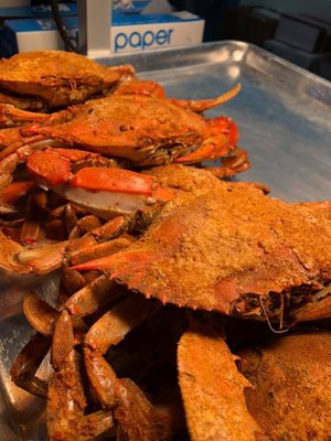 KEY WEST SEAFOOD - Updated June 2026 - 27 Photos & 11 Reviews - 1449 ...