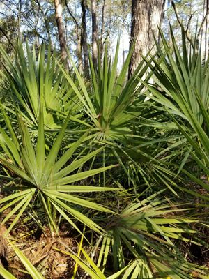 VICTORIA BLUFF HERITAGE PRESERVE - Updated September 2025 - 21 Photos ...