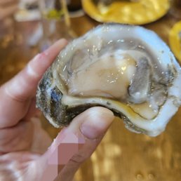 O’SHUCKS! OYSTER BAR AND GRILL - Updated March 2025 - 197 Photos & 288 ...