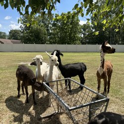 Best Zoos Near Me - October 2025: Find Nearby Zoos Reviews - Yelp