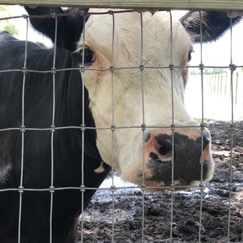 BEASLEY FARM - Updated October 2025 - 41 Photos & 16 Reviews - 10137 ...