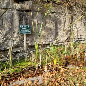 HISLE FARM PARK - Updated February 2025 - 21 Photos - 3551 Briar Hill ...