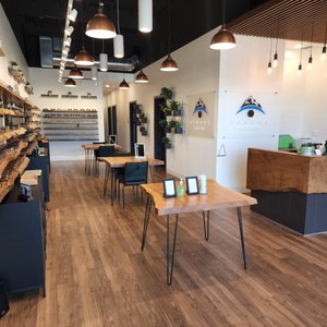 VISION PLUS - Updated November 2025 - 46 Reviews - 2520 James St ...