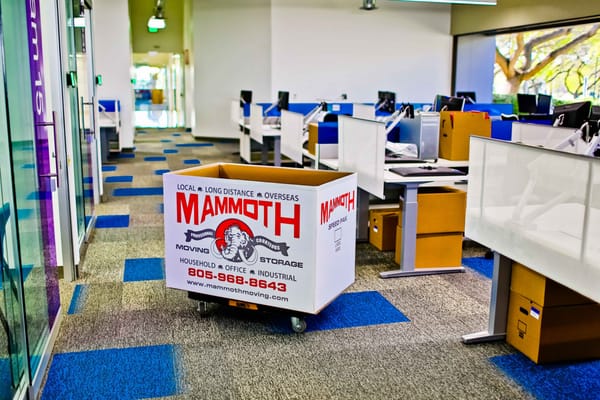 MAMMOTH MOVING & STORAGE - Updated October 2025 - 18 Photos & 26 ...