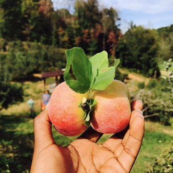 RED APPLE BARN - Updated October 2025 - 51 Photos & 26 Reviews - 3379 ...