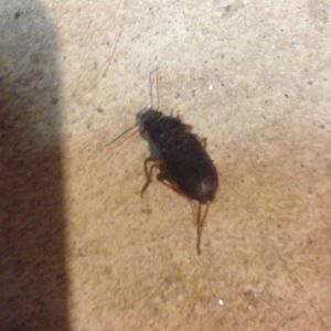 JOLAR CINEMA - Updated June 2024 - 42 Photos & 48 Reviews - 6321 ...