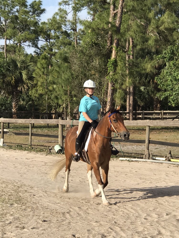 La Petite Cheval Farm, Florida | Roadtrippers