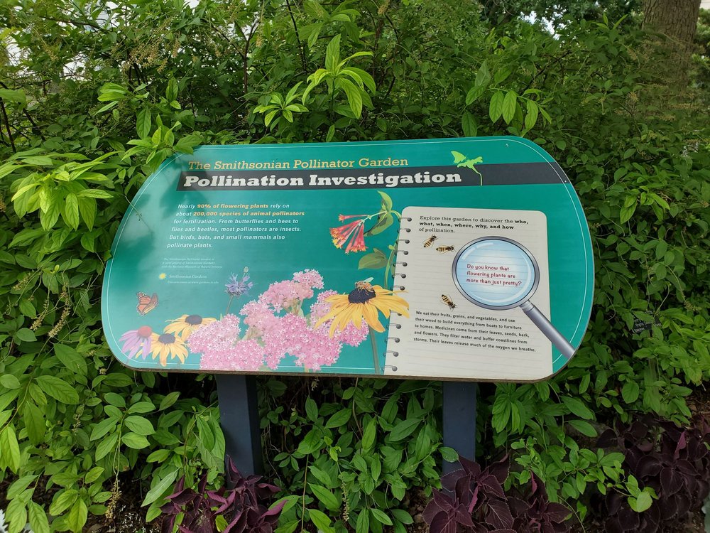 Smithsonian Pollinator Garden - Trusted Since 2022 - Updated July 2025 ...