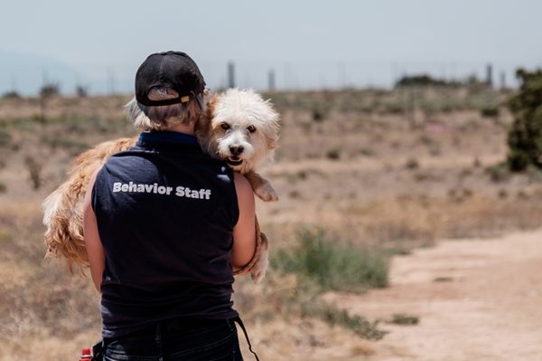 SANTA FE ANIMAL SHELTER & HUMANE SOCIETY - 14 Photos & 13 Reviews ...