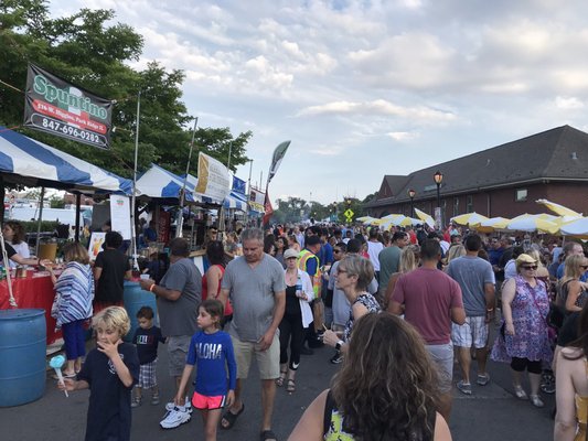TASTE OF PARK RIDGE - 57 Photos & 10 Reviews - Festivals - 43 S ...