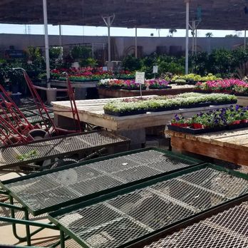 TREELAND NURSERIES - Updated October 2025 - 65 Photos & 79 Reviews ...