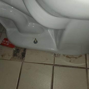 ROTO-ROOTER PLUMBING & WATER CLEANUP - Updated July 2024 - 27 Photos ...