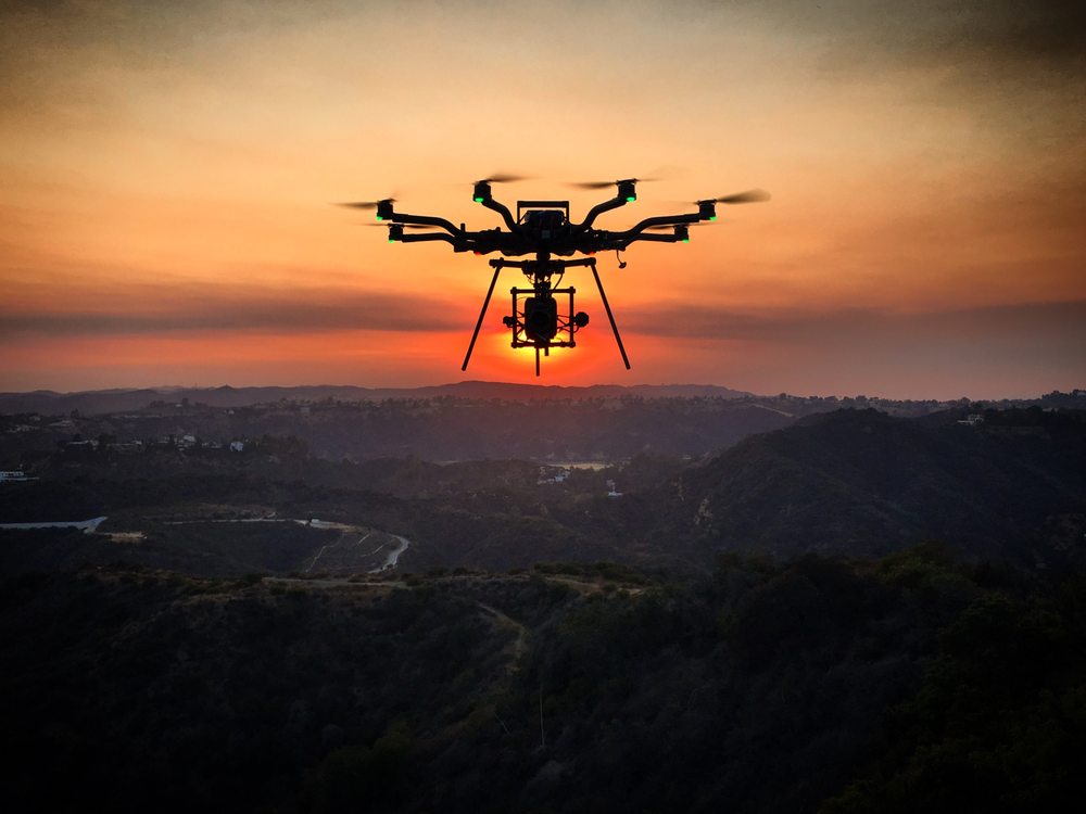 ROBO BEACH - Updated December 2024 - 32 Photos - 1023 1/2 Abbot Kinney ...