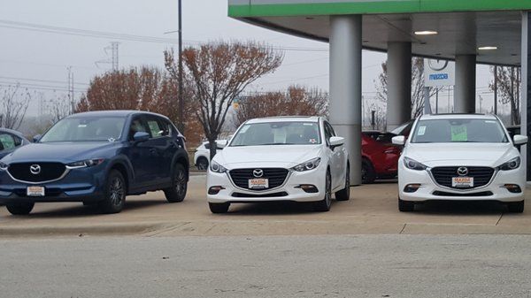 Roger Beasley Mazda Georgetown