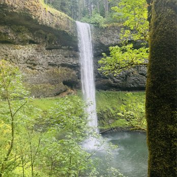 SILVER FALLS STATE PARK - Updated August 2025 - 1634 Photos & 349 ...