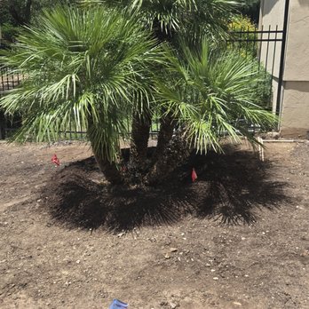 MOON VALLEY NURSERIES - Updated September 2025 - 49 Photos & 62 Reviews - 3550 N Loop 1604 E ...