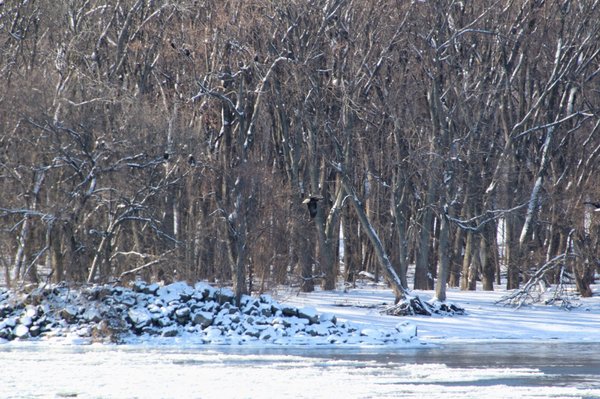 EAGLE POINT PARK - Updated August 2024 - 17 Photos - 3923 N 3rd St ...