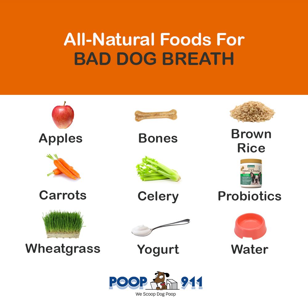 POOP 911 NEW LONDON - Updated October 2024 - Request a Quote - 10 ...