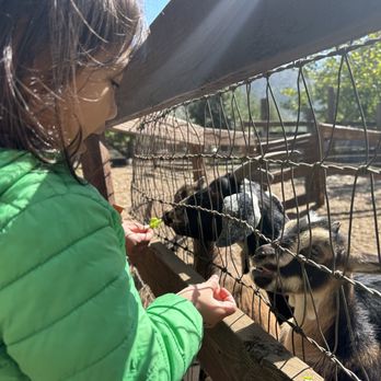 RILEYS AT LOS RIOS RANCHO - Updated October 2024 - 1254 Photos & 405 ...