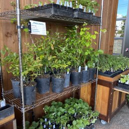 LIFESOURCE NATURAL FOODS - Updated December 2025 - 168 Photos & 108 ...