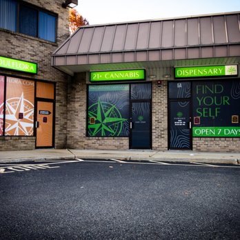 TOP 10 BEST Cannabis Dispensaries near Sussex, NJ - Updated 2024 - Yelp