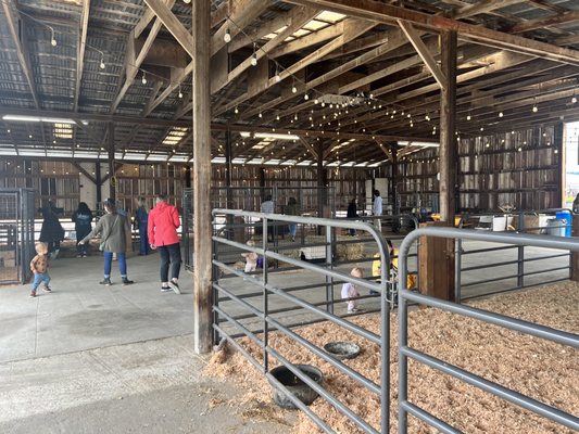 KNUTSON FARMS - 23 Photos & 17 Reviews - 16406 78TH ST E, Sumner ...