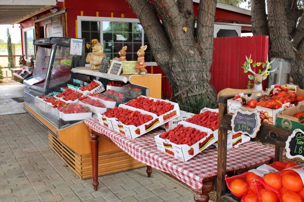 PRANCERS FARM - 84 Photos & 25 Reviews - 18540 E Telegraph Rd, Santa ...