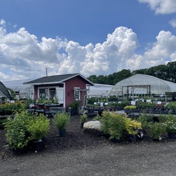 ALEXANDER FARM MARKET AND GREENHOUSES - TEMP. CLOSED - Updated December ...