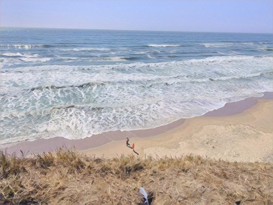 POMPONIO STATE BEACH - Updated January 2026 - 157 Photos & 49 Reviews ...