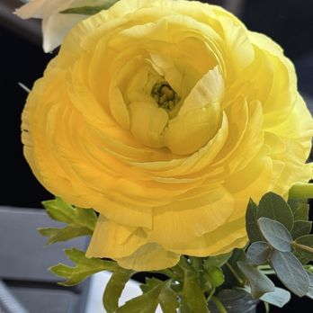 DOPPIO CAFE & CREPERIE - Updated March 2025 - 86 Photos & 49 Reviews ...