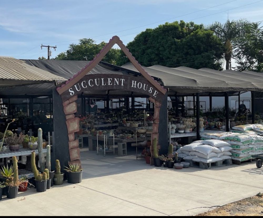 SHUNA’S SUCCULENT HOUSE - Updated December 2025 - 169 Photos & 47 ...