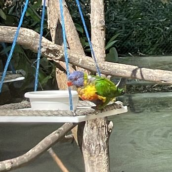 LITTLE ROCK ZOO - Updated December 2025 - 185 Photos & 73 Reviews - 1 ...