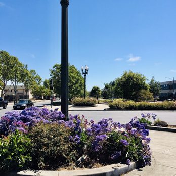 CYPRESS FREEWAY MEMORIAL PARK - Updated August 2025 - Mandela Pkwy ...