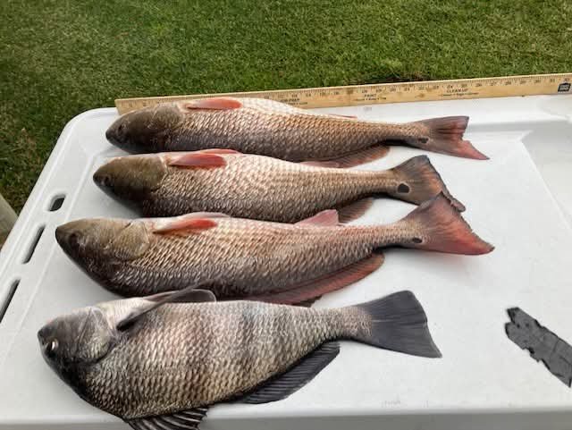 FLATWATER ASSASSIN KAYAK FISHING - Updated February 2025 - 115 Palm Dr ...